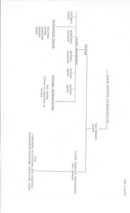 Organizational chart for Team Sports Organization - Digital Commonwealth