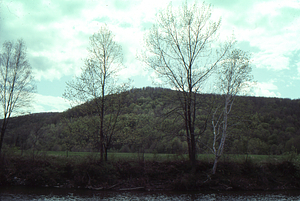 Hazen's Line - Massachusetts (left side) - Vermont (right side) state ...