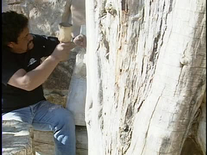 ¡Colores!; José Benjamín López, 2 : Santero - Digital Commonwealth