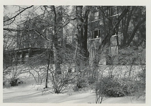 The back of Massasoit Hall seen through icy bushes - Digital Commonwealth