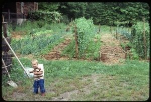 Phoebe Mathews playing near the garden, Montague Farm Commune - Digital ...