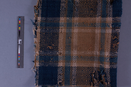 Common Carpet Sample - Digital Commonwealth