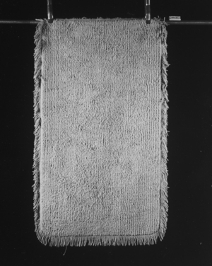 Throw Rug - Digital Commonwealth