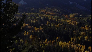 ¡Colores!; Volcanoes, Interview with Fraser Goff (Part 1) : Sleeping ...