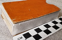 Game, Card - Digital Commonwealth