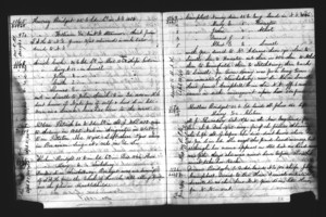 Tewksbury Almshouse Intake Record: Harney, Bridget - Digital Commonwealth