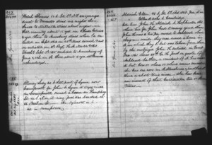 Tewksbury Almshouse Intake Record: Welch, Thomas - Digital Commonwealth