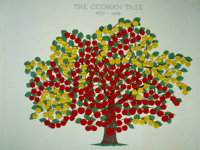 The Codman Family Tree, 1637-1929 - Digital Commonwealth