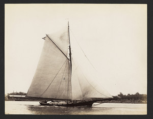 Hildegarde - Digital Commonwealth