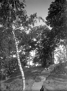Steps to the Knoll, Ell Pond Park, Melrose, Mass. - Digital Commonwealth