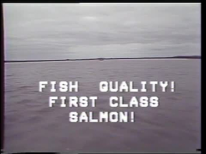 Fish Quality: First Class Salmon - Digital Commonwealth
