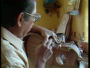 Illustrated Daily; The Pimentel Family - Digital Commonwealth