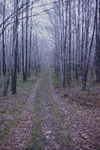 Upper Loop Trail west of Moon Lot road to Northwest Hill Road ...