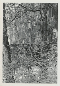 The back of Massasoit Hall seen through icy bushes - Digital Commonwealth