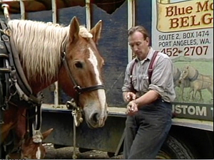 Loggers and Their Lore; Interview with Jim Bower, tape 2 - Digital ...