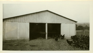 Poultry Building - Digital Commonwealth