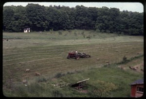 Tony Mathews driving a tractor while haying, Montague Farm Commune ...