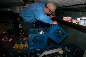 Mapleline Farm delivery man sorting crates in the back of his truck ...
