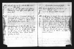 Tewksbury Almshouse Intake Record: Mason, Fanny - Digital Commonwealth