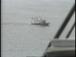 Louisiana: The State We're In; 814 - Digital Commonwealth