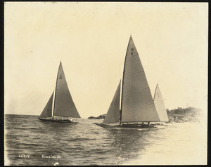 Ruweida III & Rogue - Digital Commonwealth