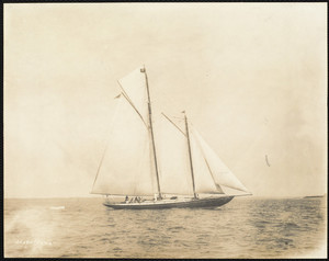 Fame - Digital Commonwealth